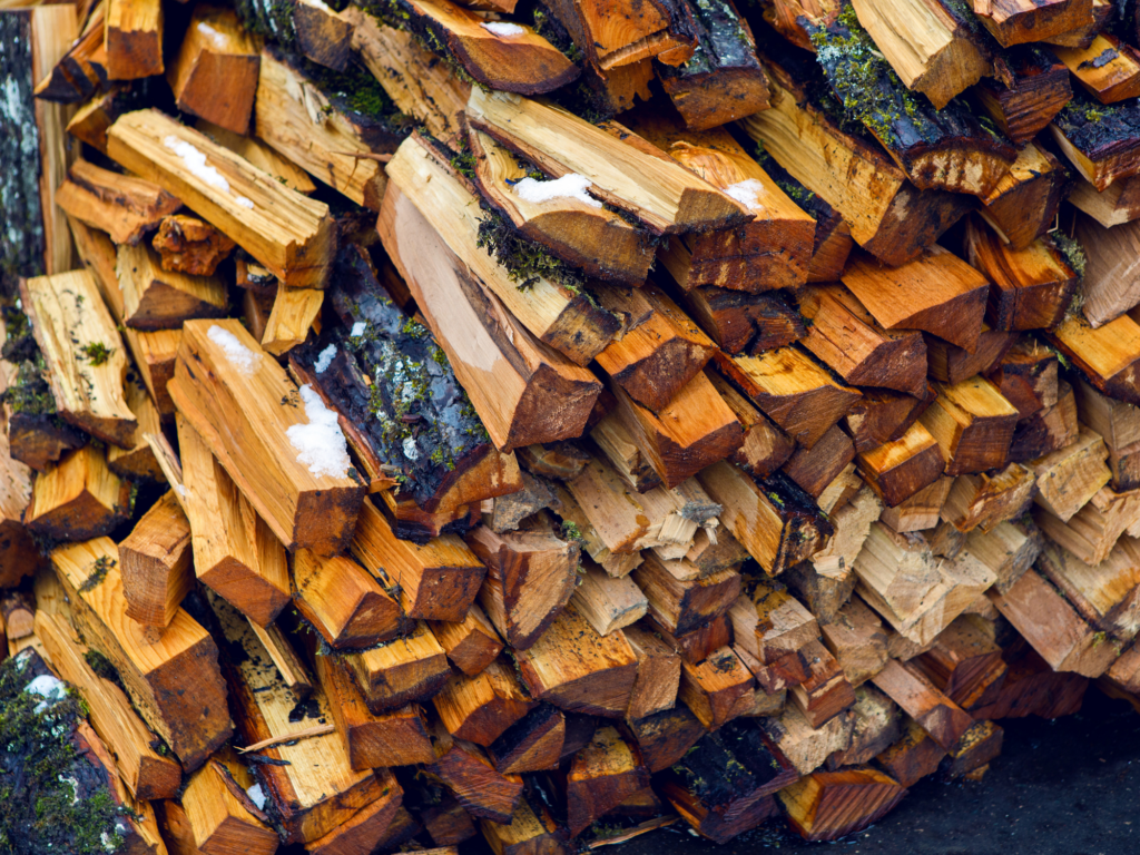 How to Start a Fire With Wet Wood | Brockley Tree