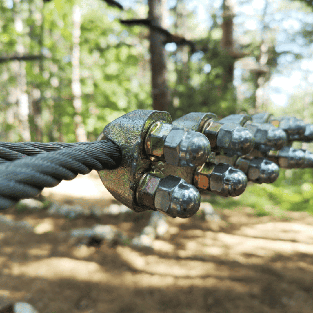 What Is Tree Bracing And Cabling Brockley Tree