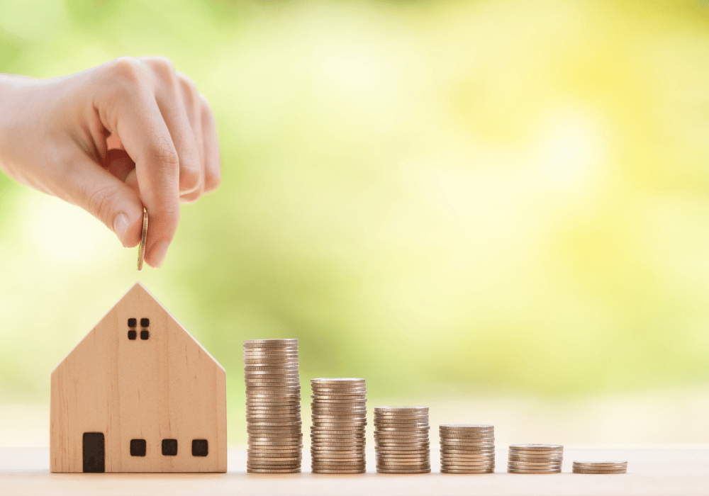 Strategic Tree and Shrub Placement in Your Landscape | Brockley Tree